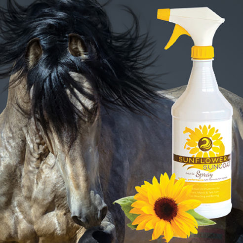 Horse Conditioner Concentrate Moisturizer for Coat, Mane & Tail by ...